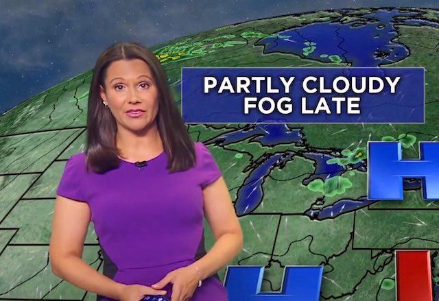 Erica Grow Bio, Age, Family, Married, Husband, Net Worth